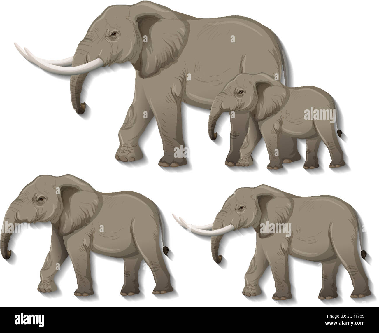 Set of isolated elephants on white background Stock Vector Image & Art ...