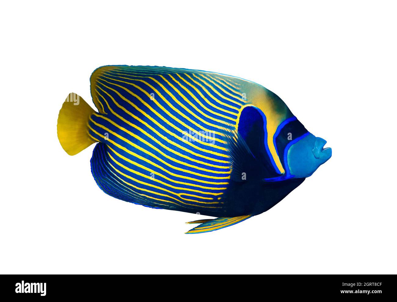 Beautiful ocean indonesia Cut Out Stock Images & Pictures - Alamy