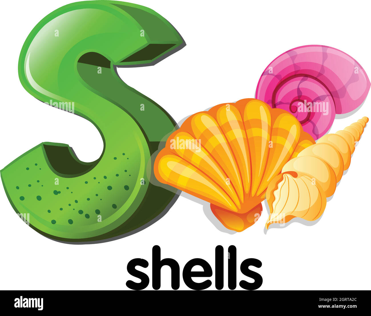 Illustration shells Cut Out Stock Images & Pictures - Alamy