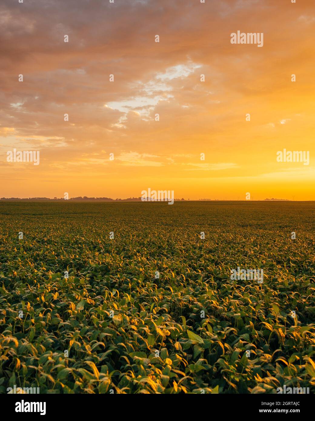 Towanda illinois farm hi-res stock photography and images - Alamy