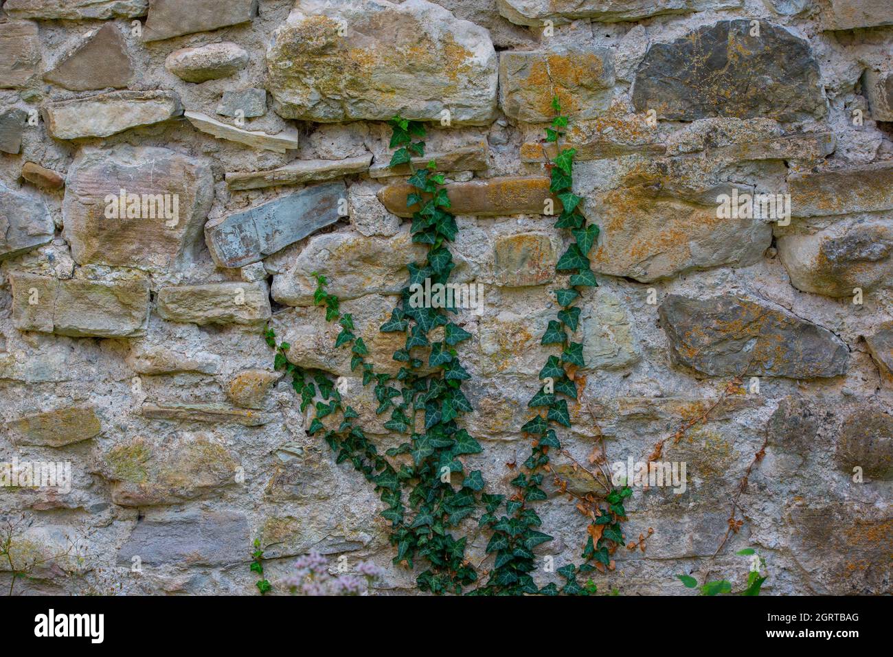 stone wall texture with wood in the foreground Stock Photo - Alamy