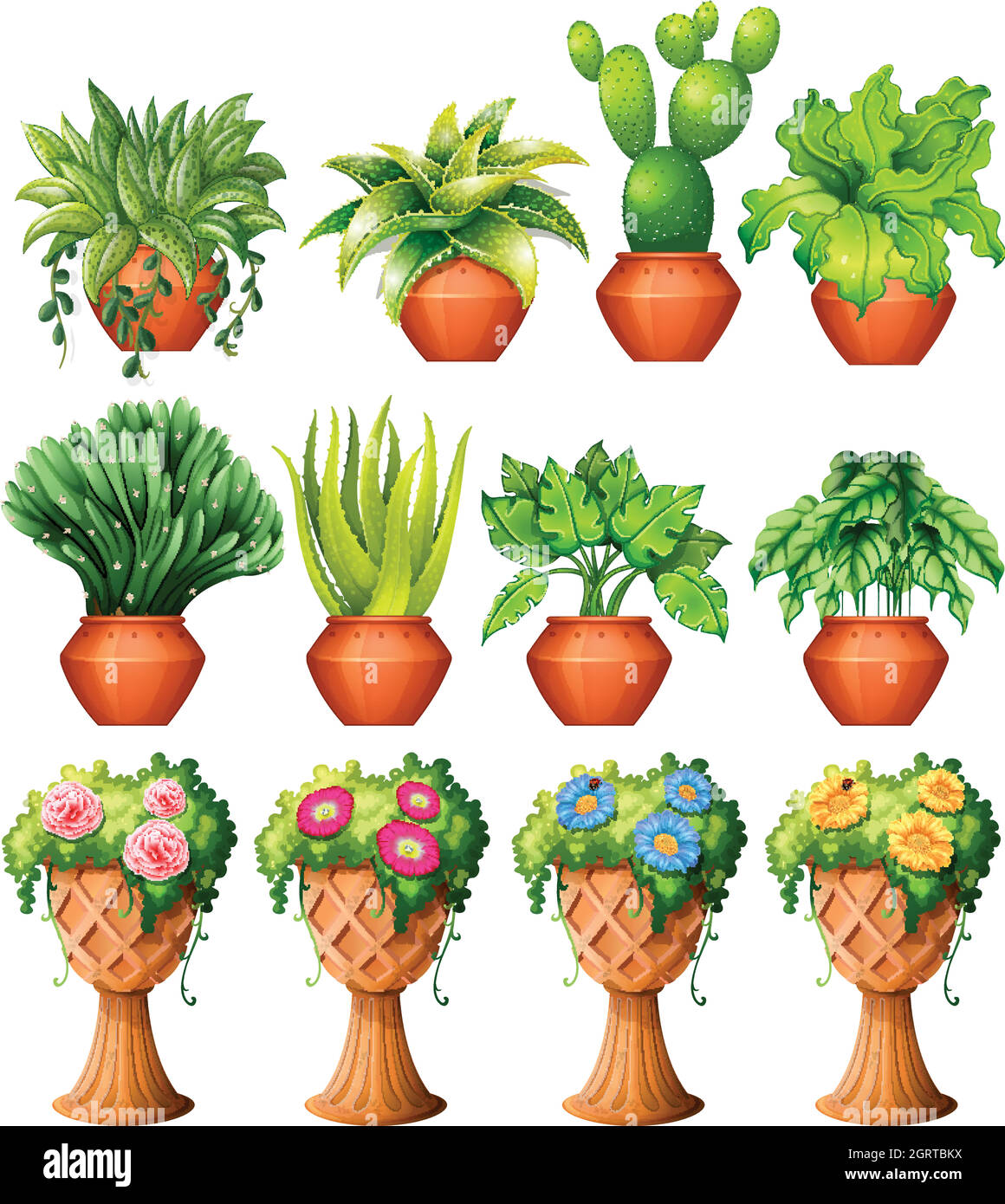 Illustration plants in pot hi-res stock photography and images - Alamy