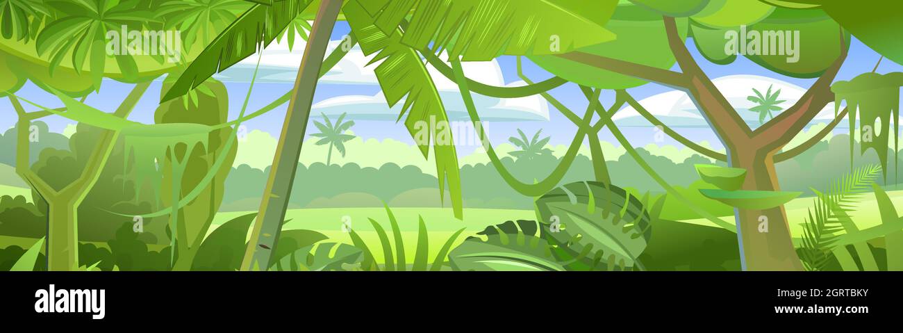 Rainforest Plants. Dense thickets. View from the forest. Southern Rural ...