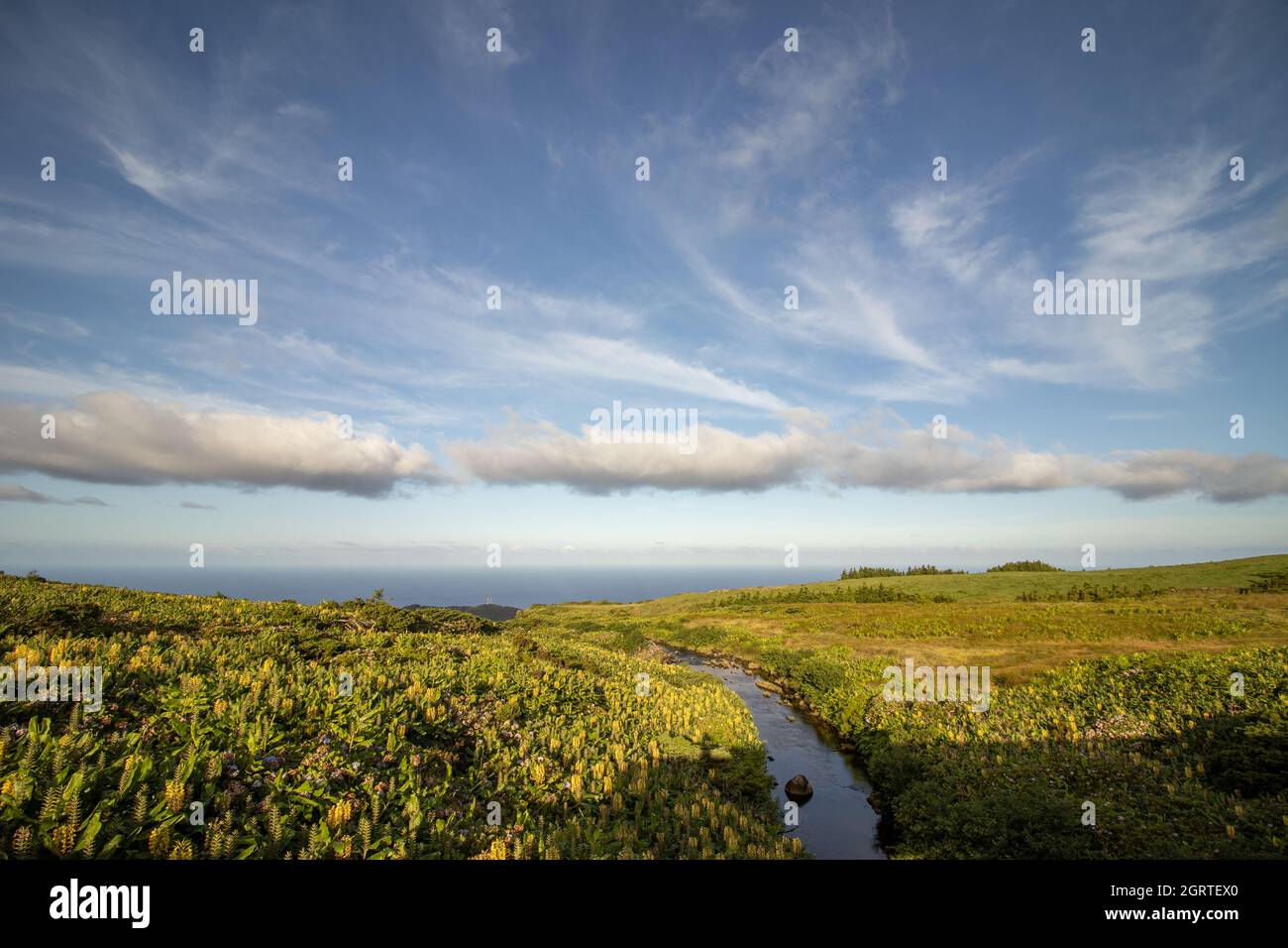 Azores islands, landscape with Atlantic ocean, Flores, travel ...