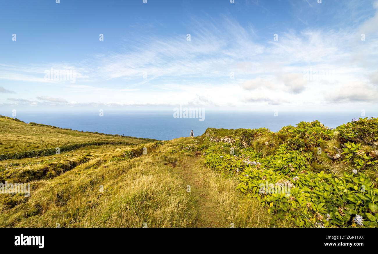 Azores islands, landscape with green vegetation, Flores, travel ...