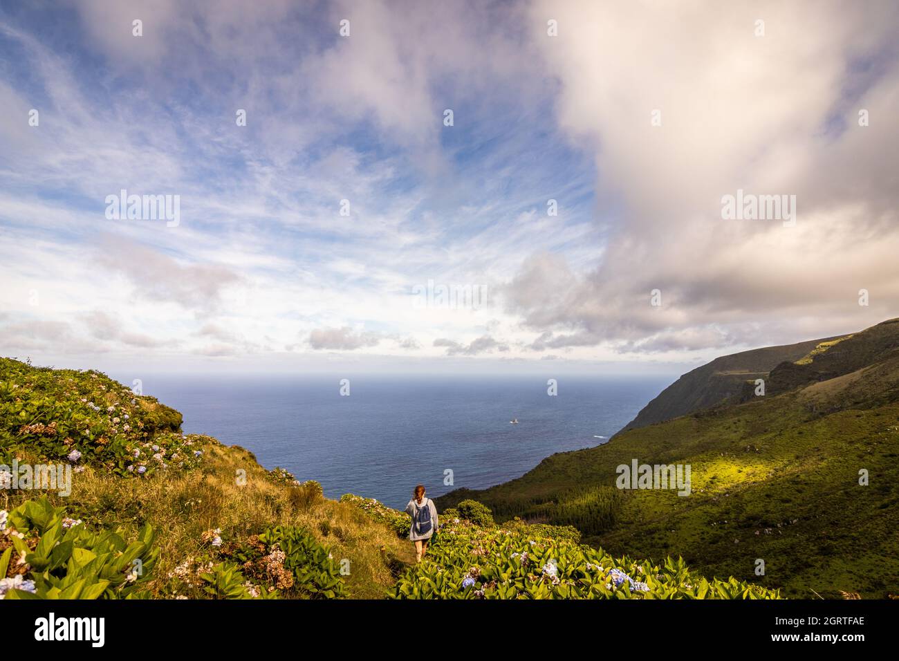 Azores islands, landscape with hiker in green vegetation, Flores ...