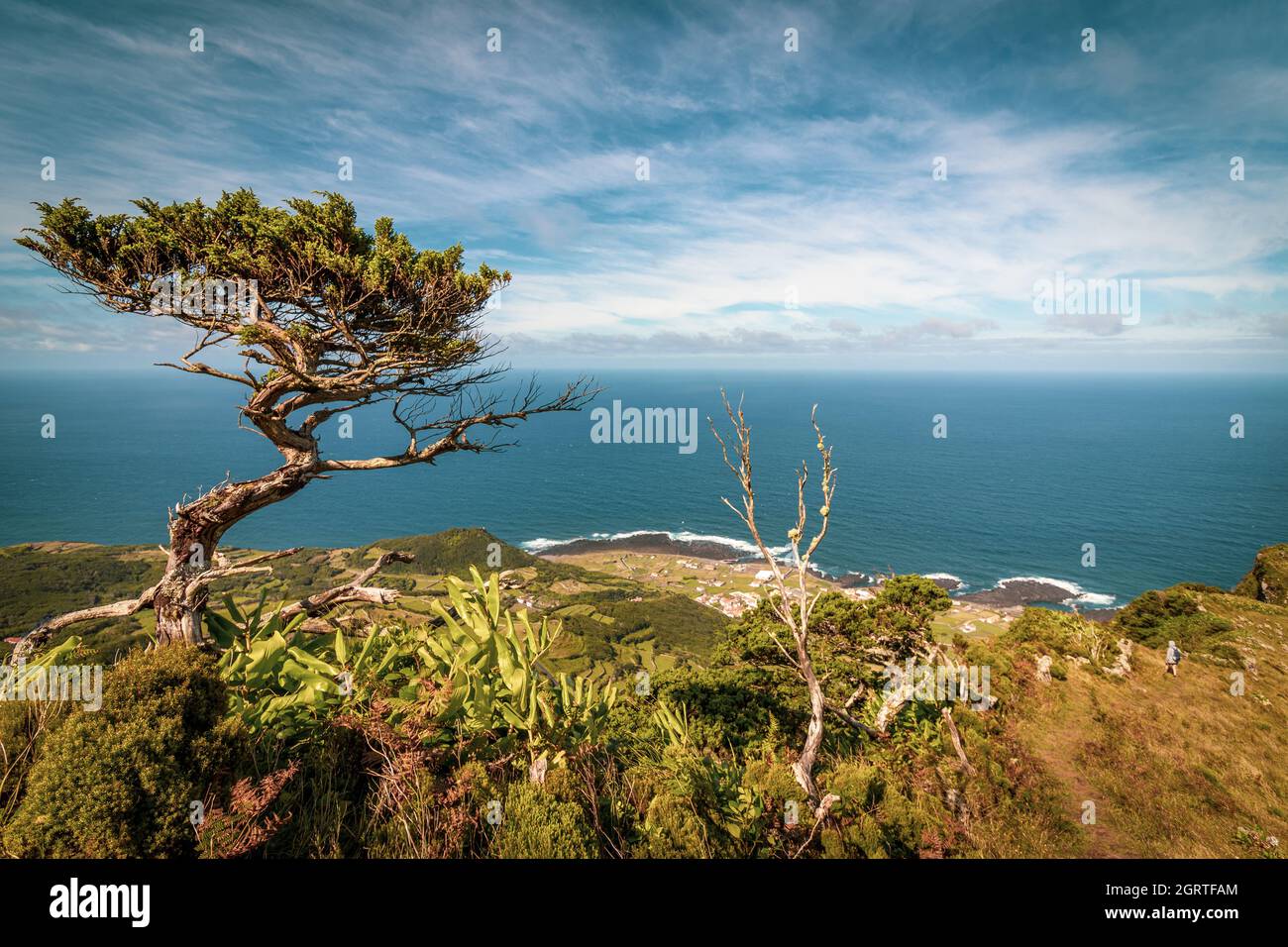 Azores islands, landscape with green vegetation, Flores, travel ...