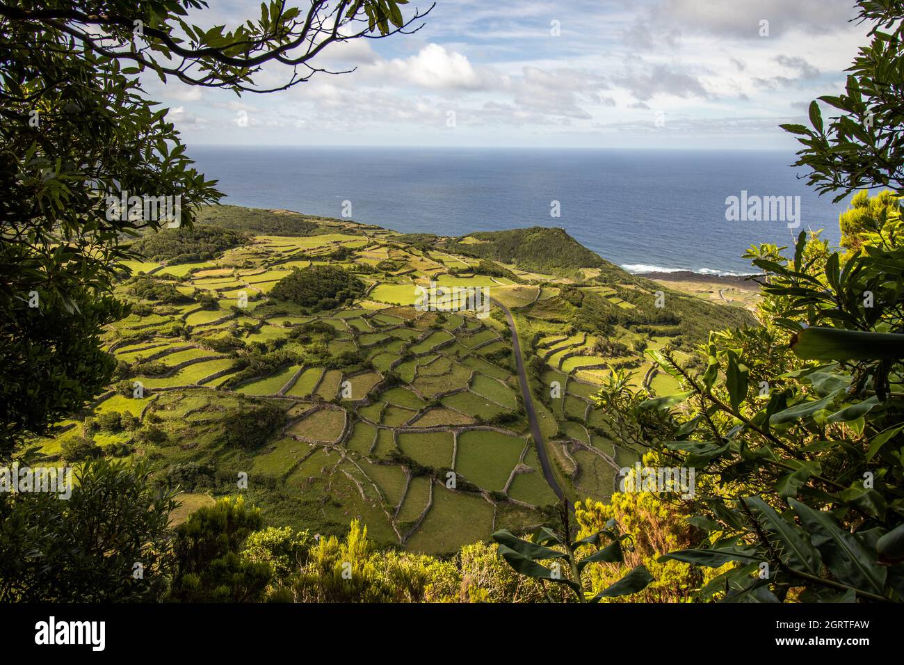 Azores islands, landscape with green vegetation, Flores, travel ...