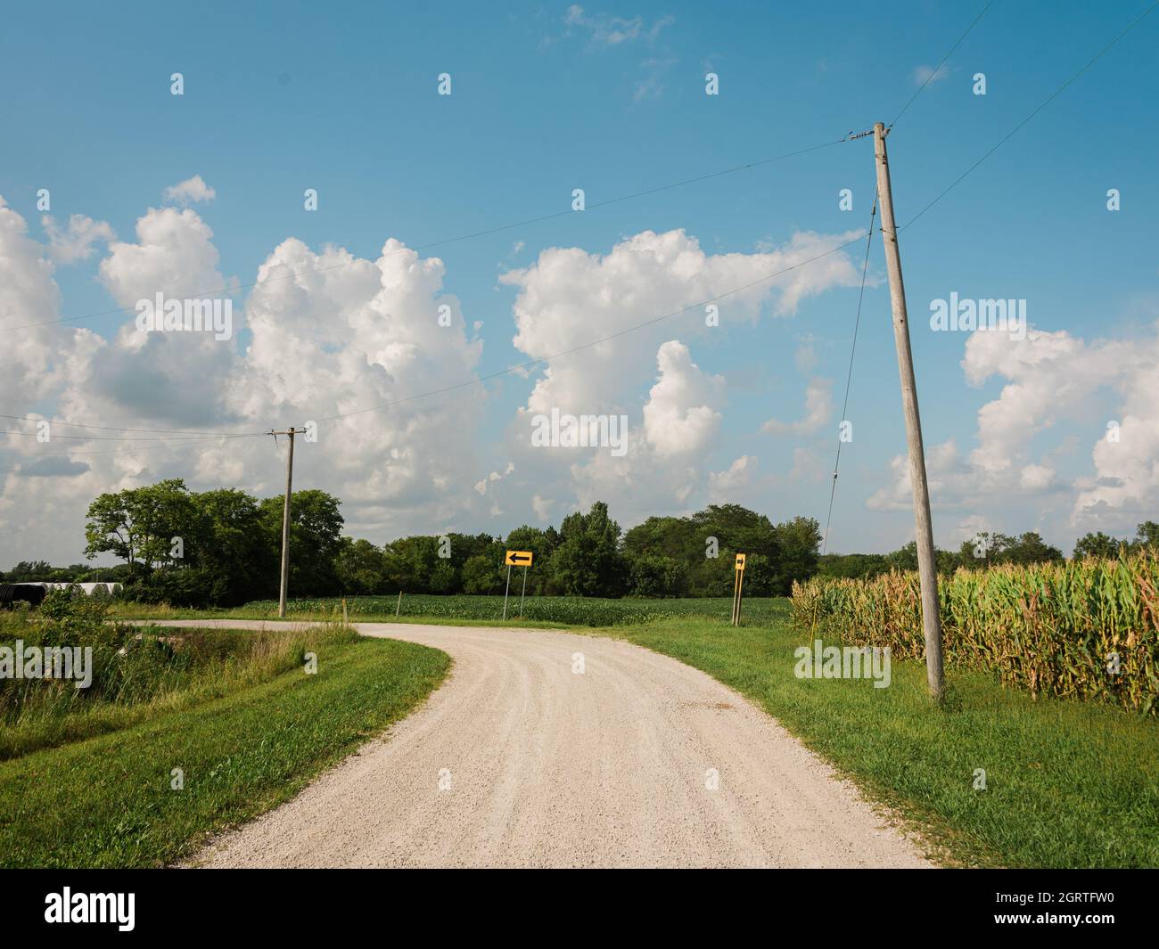 Dirt road with corn fields in a rural area of Illinois Stock Photo - Alamy