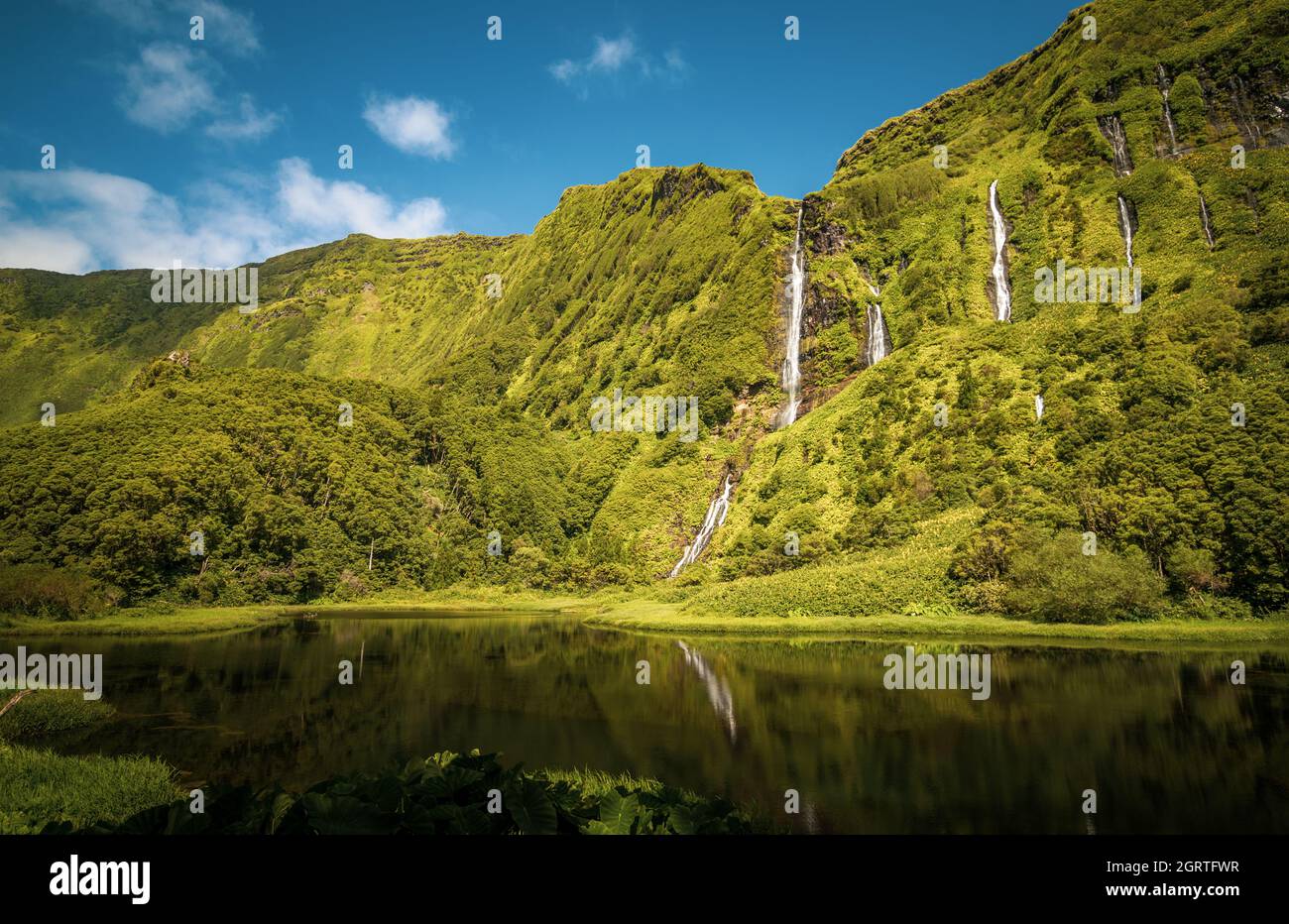 Amazing waterfalls, lake with reflection, water, green landscape ...