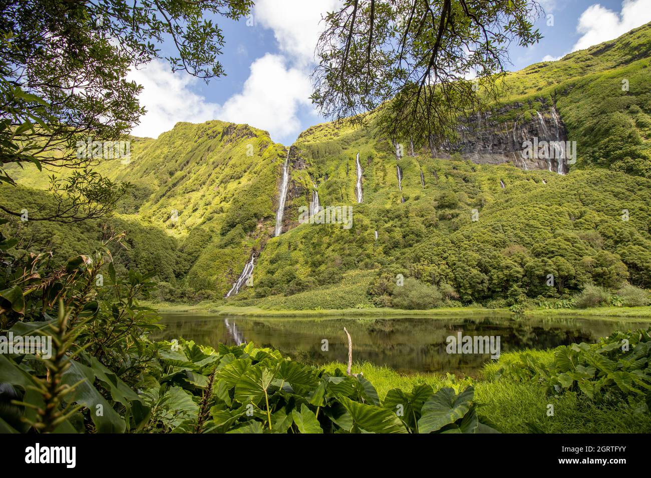 Amazing waterfalls, lake with reflection, water, green landscape ...