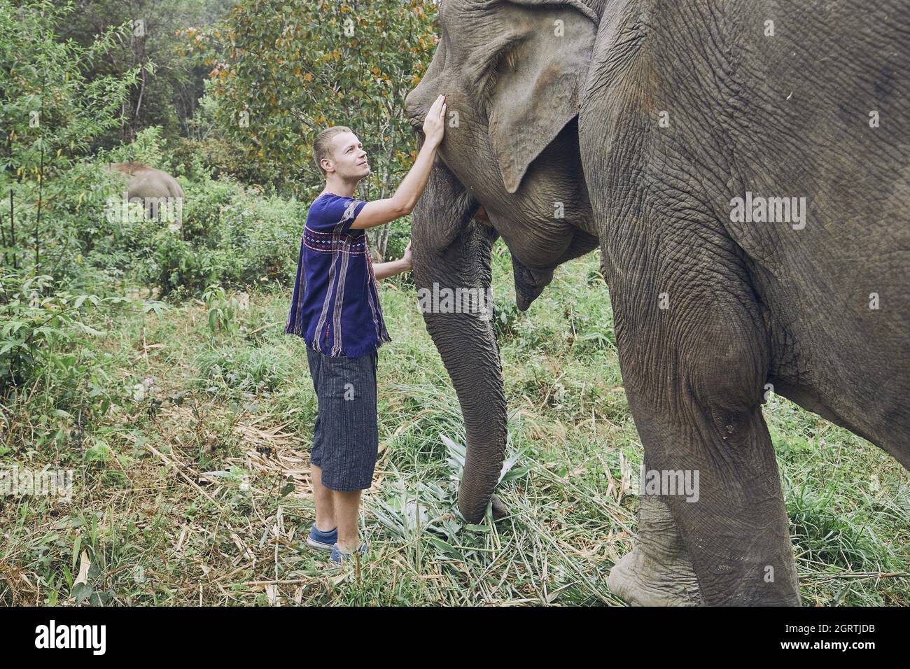 Petting an elephant hi-res stock photography and images - Alamy