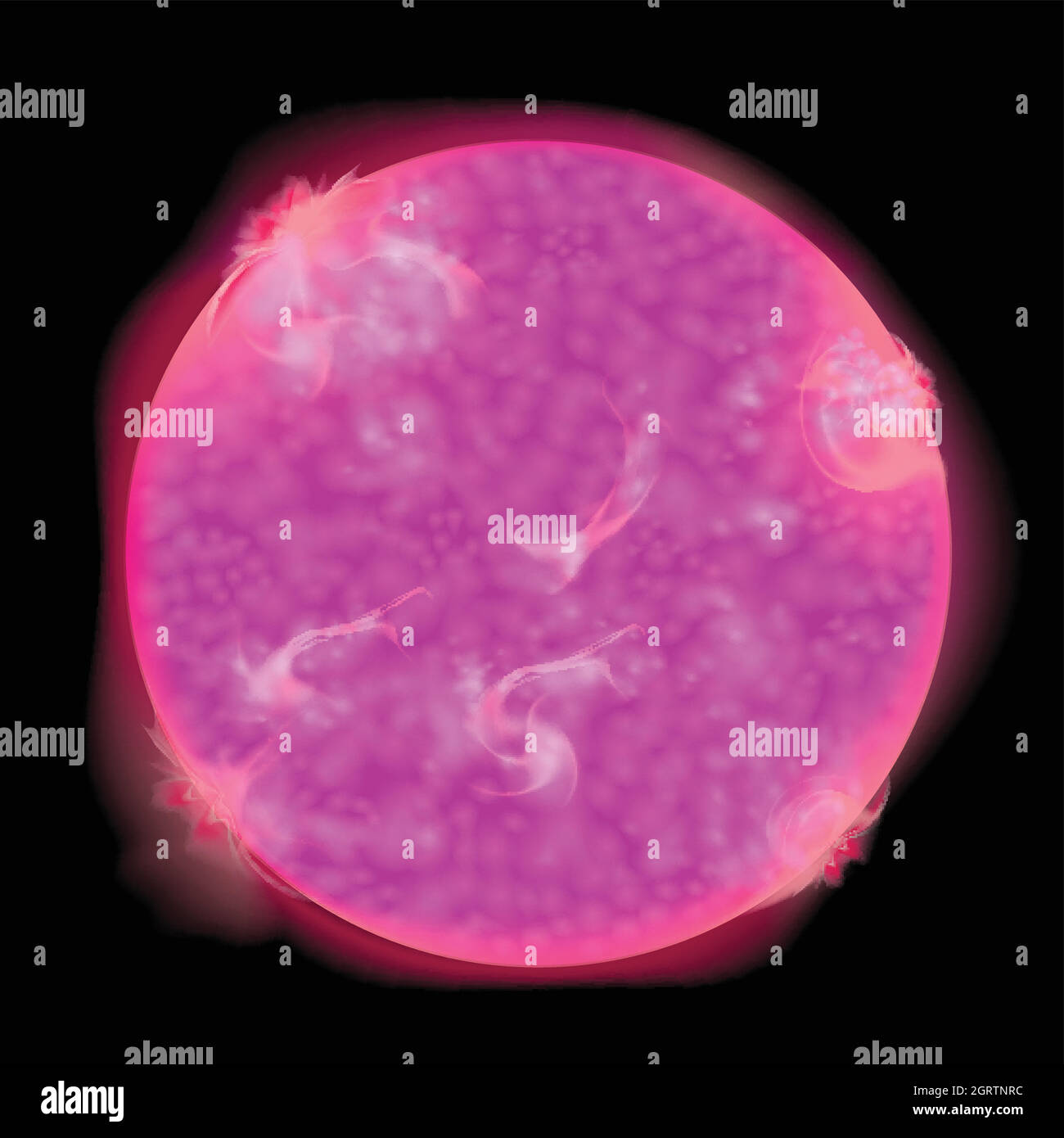 Catch pink Stock Vector Images - Alamy