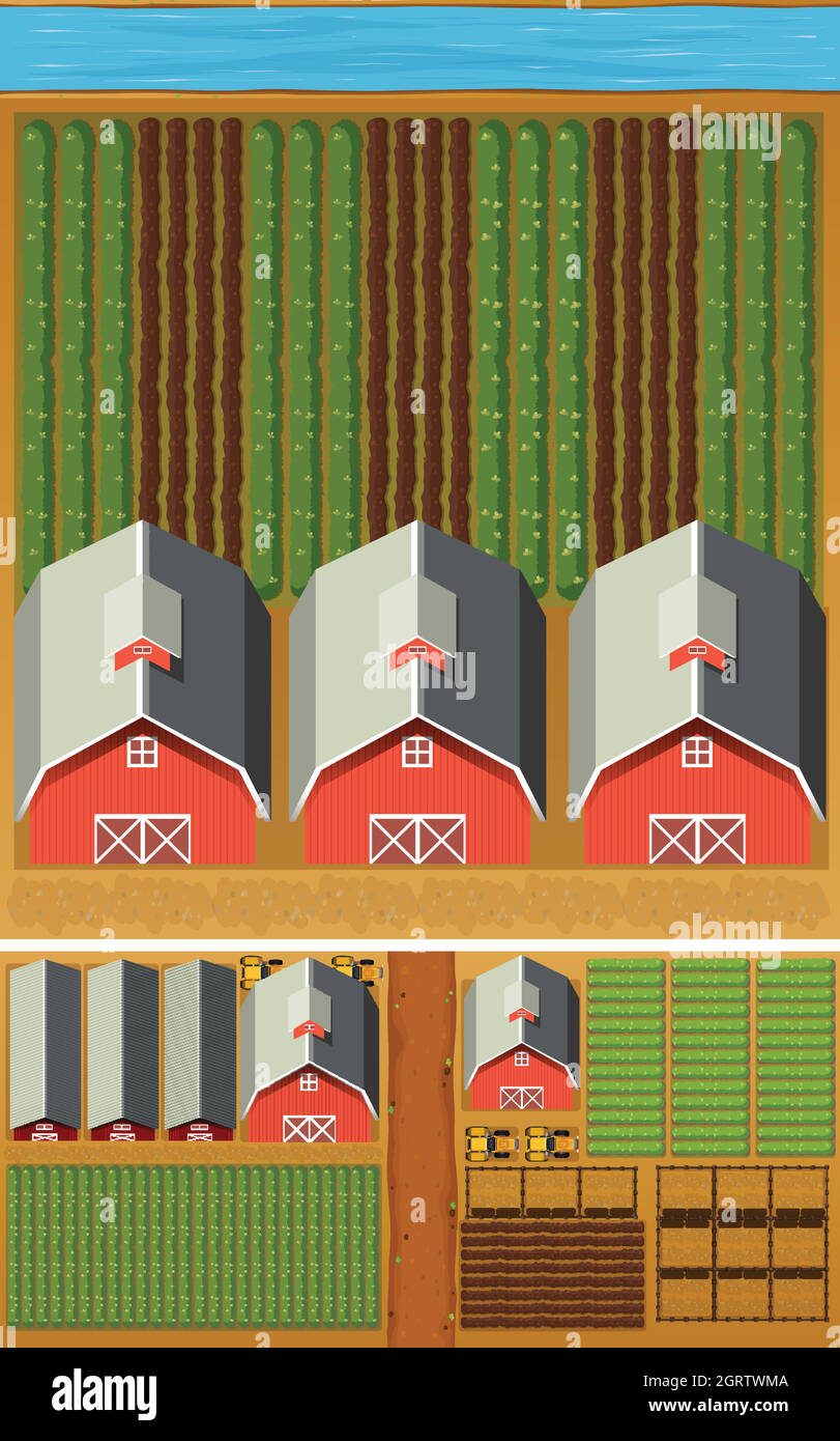 Plantation field Stock Vector Images - Alamy