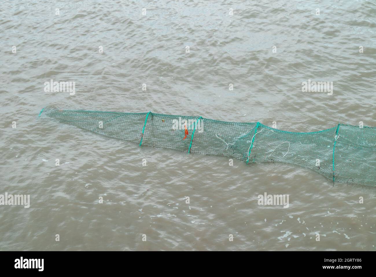 Trapping tools hi-res stock photography and images - Alamy