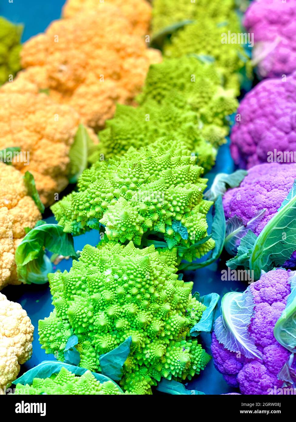 Cauliflower colored yellow green purple hi-res stock photography and ...