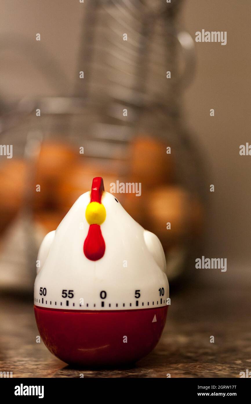 Chicken Egg Timer High Resolution Stock Photography and Images - Alamy
