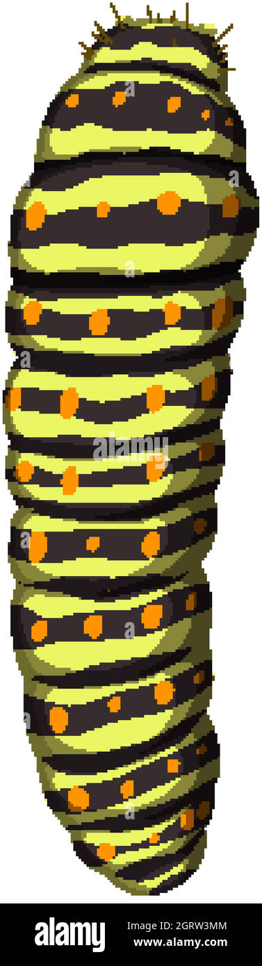 Caterpillar on white background Stock Vector Image & Art - Alamy