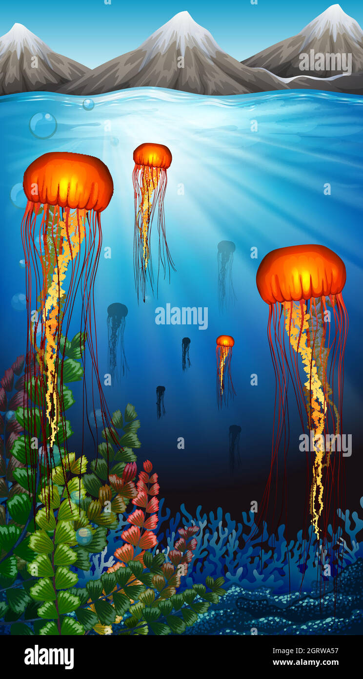 Jellyfish swimming under the ocean Stock Vector Image & Art - Alamy