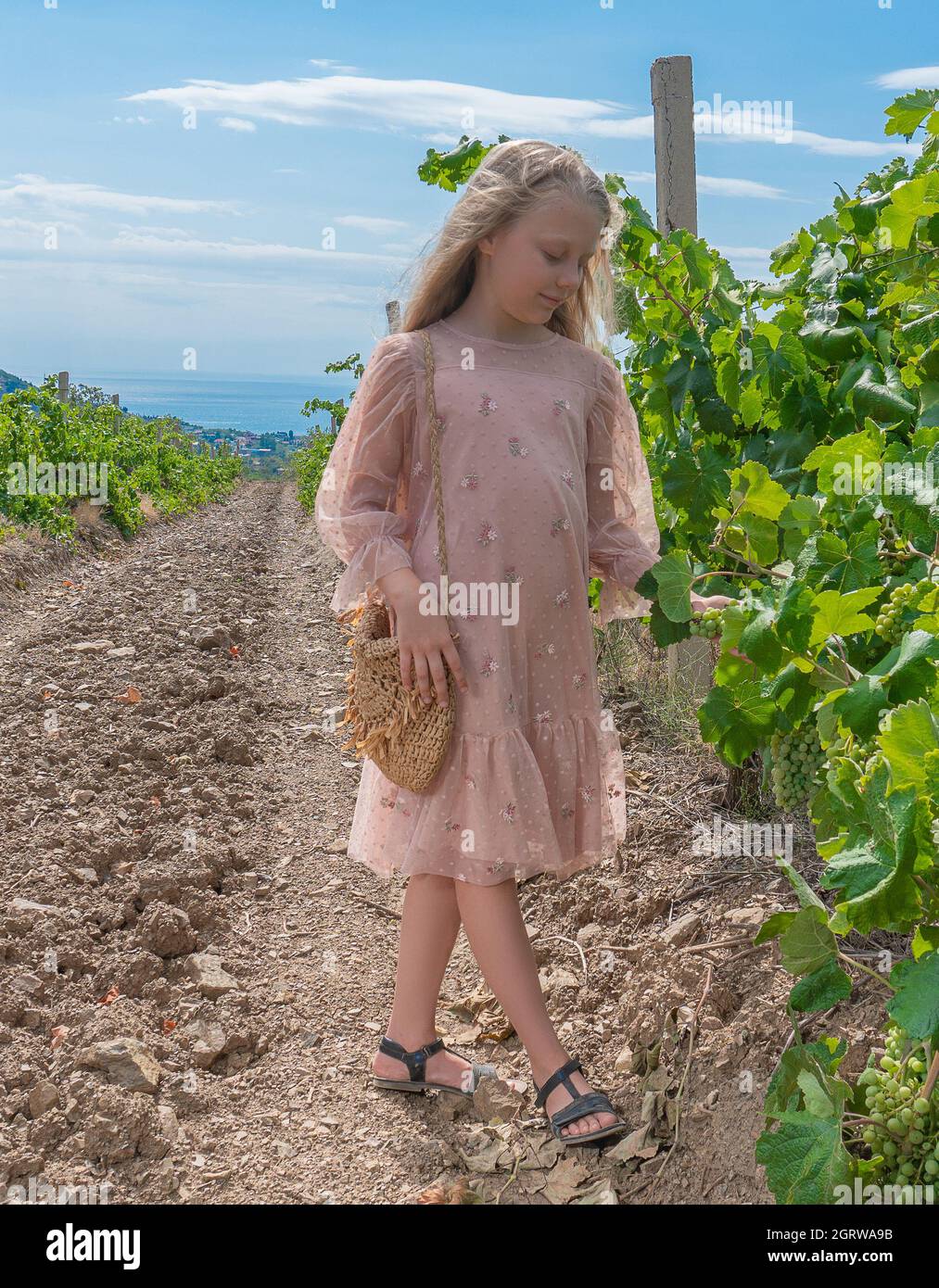 Girl in vineyard and mountains sky earth wine nature green, country ...
