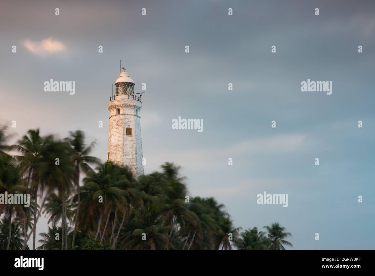 White lighthouse Dondra Head and tropical palms. View of the lighthouse ...