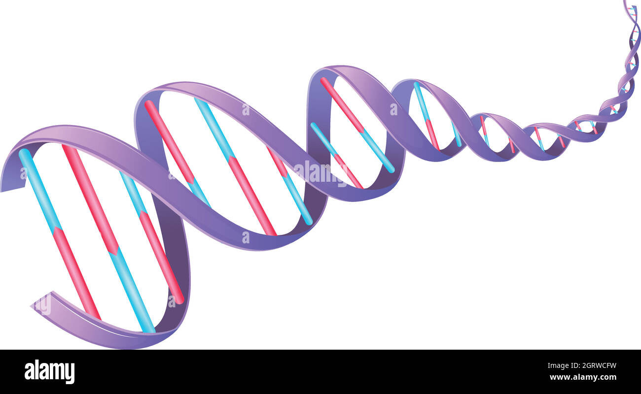 Double helix of dna Stock Vector Images - Alamy
