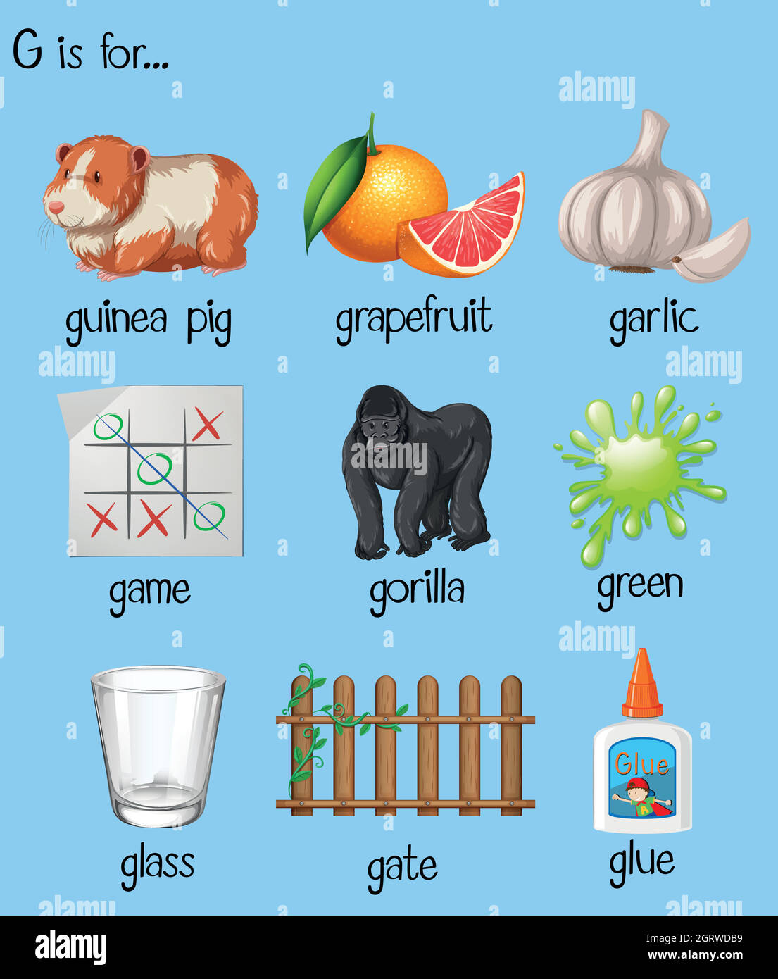 Many words for letter G Stock Vector Image & Art - Alamy