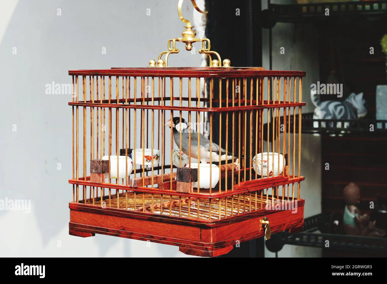 Beijing bird cage hi-res stock photography and images - Alamy