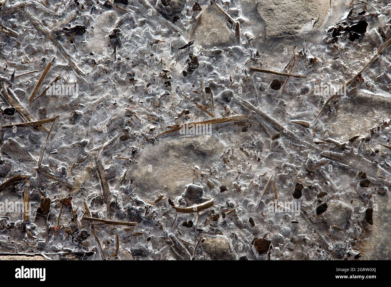 Frosted soil with rock and wood remains Stock Photo - Alamy