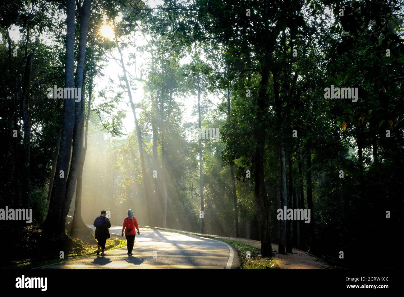 Rear View Of People Walking On Road Amidst Trees Stock Photo - Alamy
