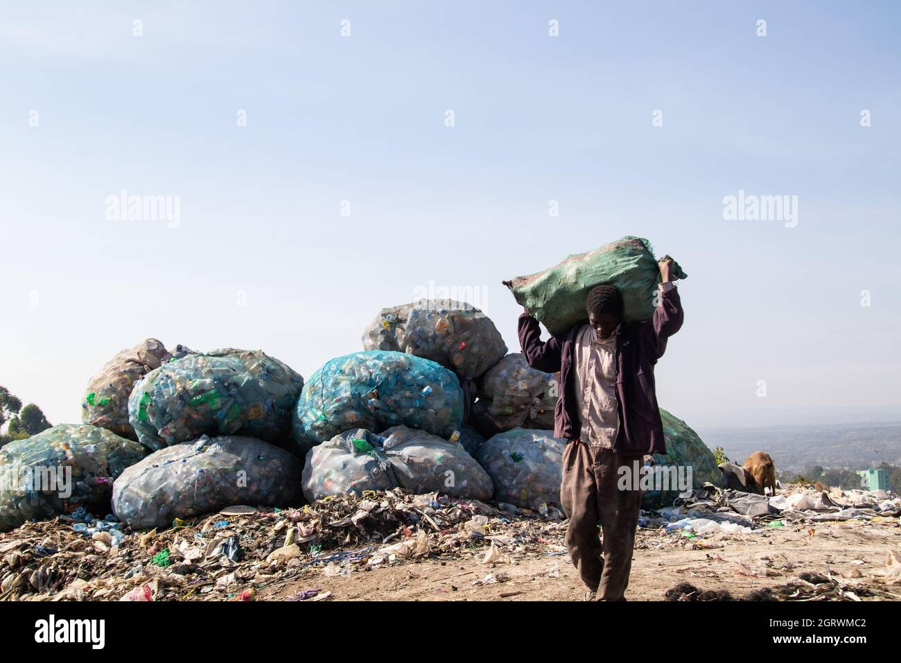 Nakuru, Rift Valley, Kenya. 1st Oct, 2021. A man carries a sack of ...