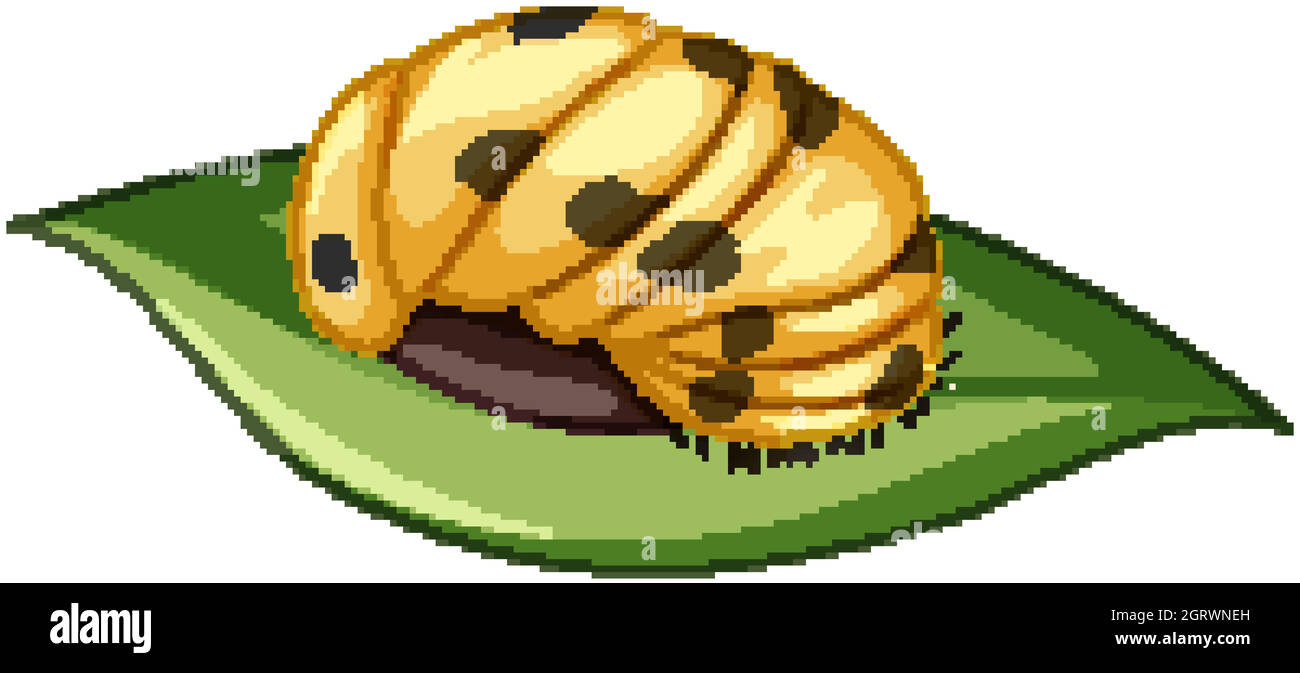 Ladybug pupa hi-res stock photography and images - Alamy