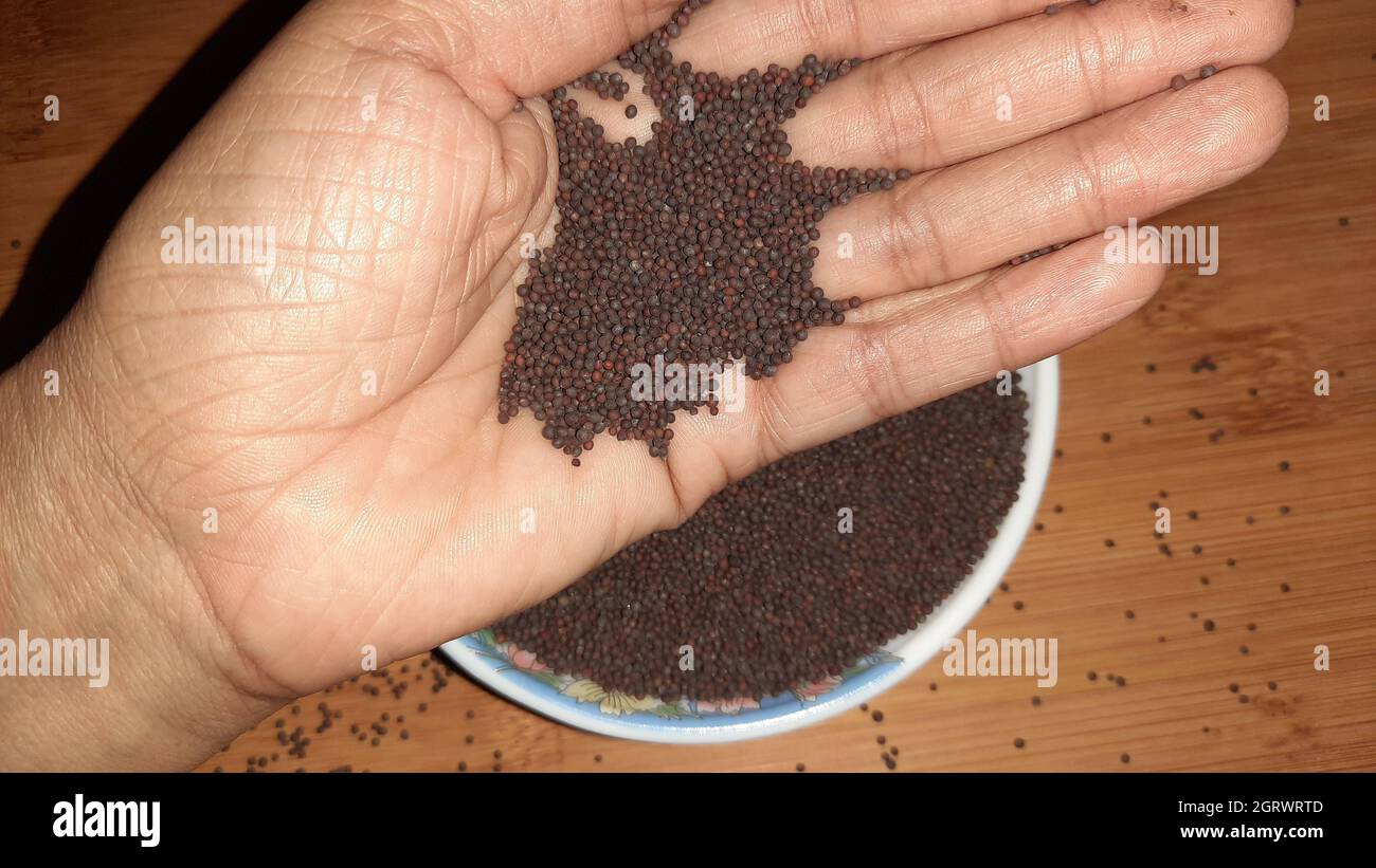 Mustered oil hi-res stock photography and images - Alamy