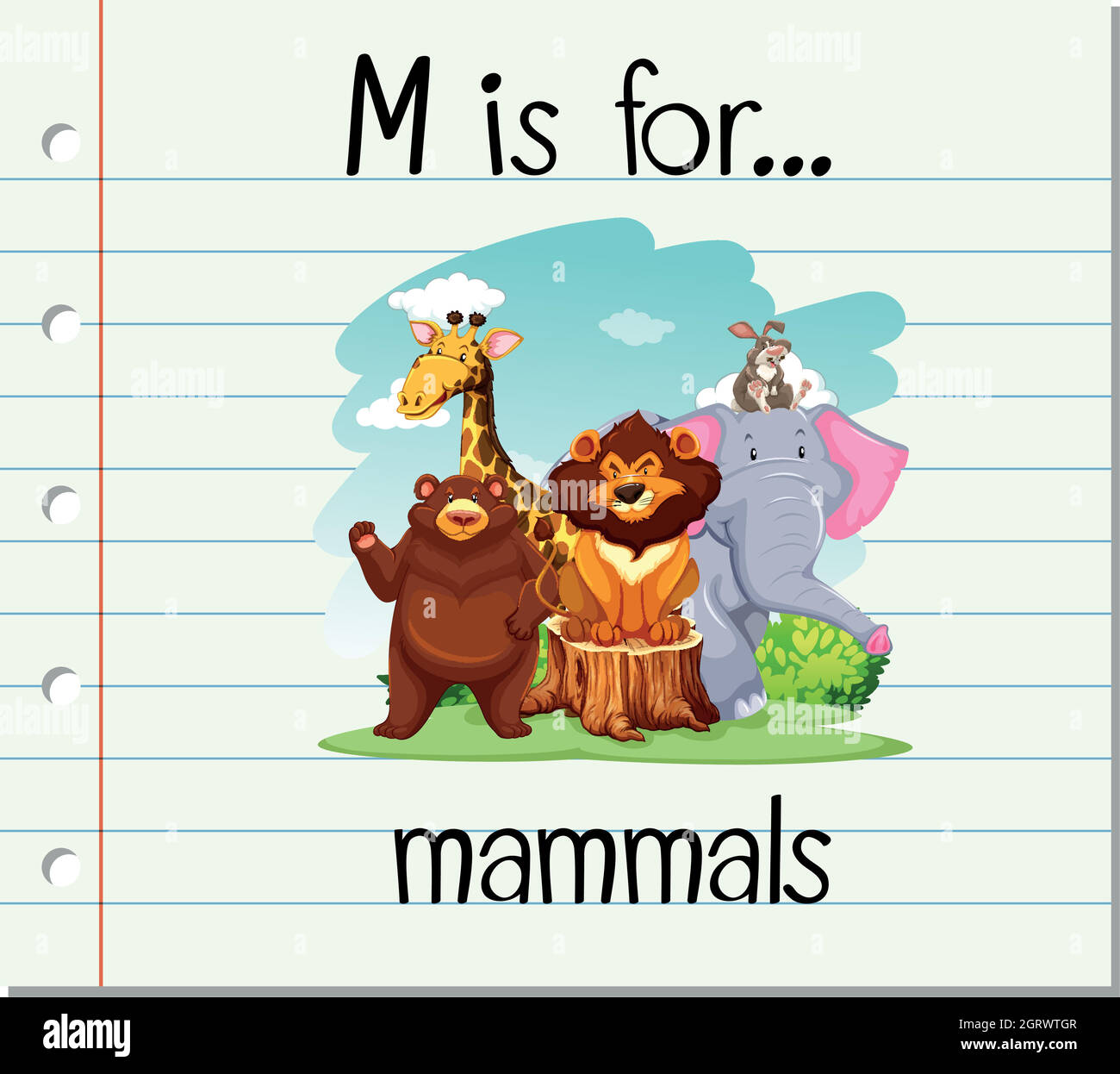 Flashcard letter M is for mammals Stock Vector Image & Art - Alamy
