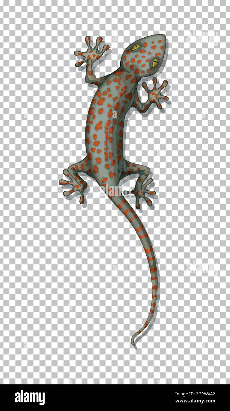 Crawling on the wall Stock Vector Images - Alamy