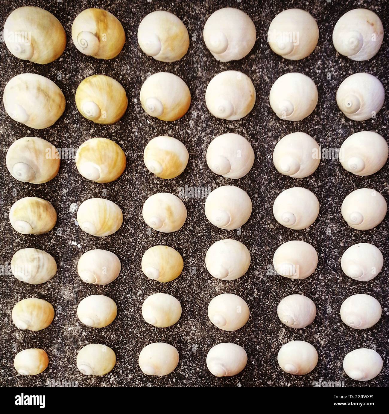 Things arranged neatly hi-res stock photography and images - Alamy