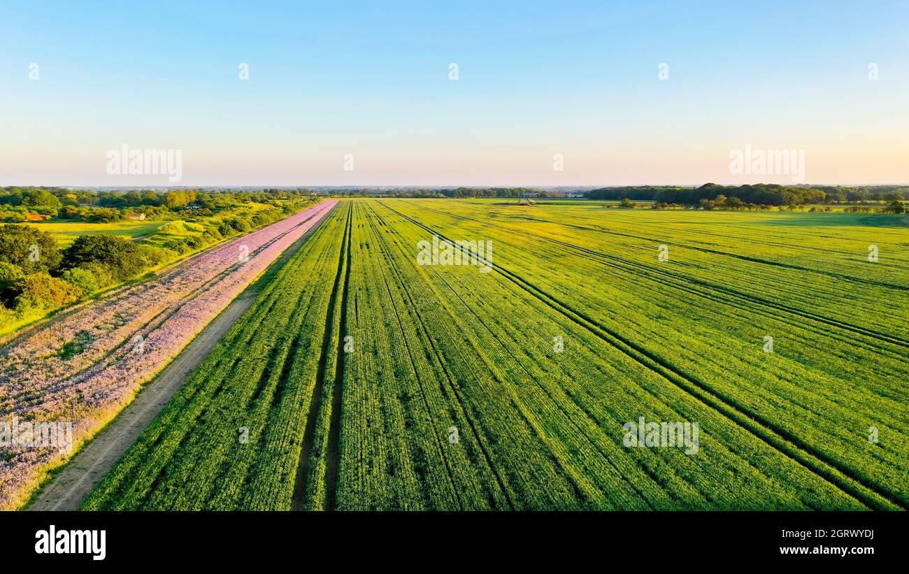 Aerial fields norfolk hi-res stock photography and images - Alamy