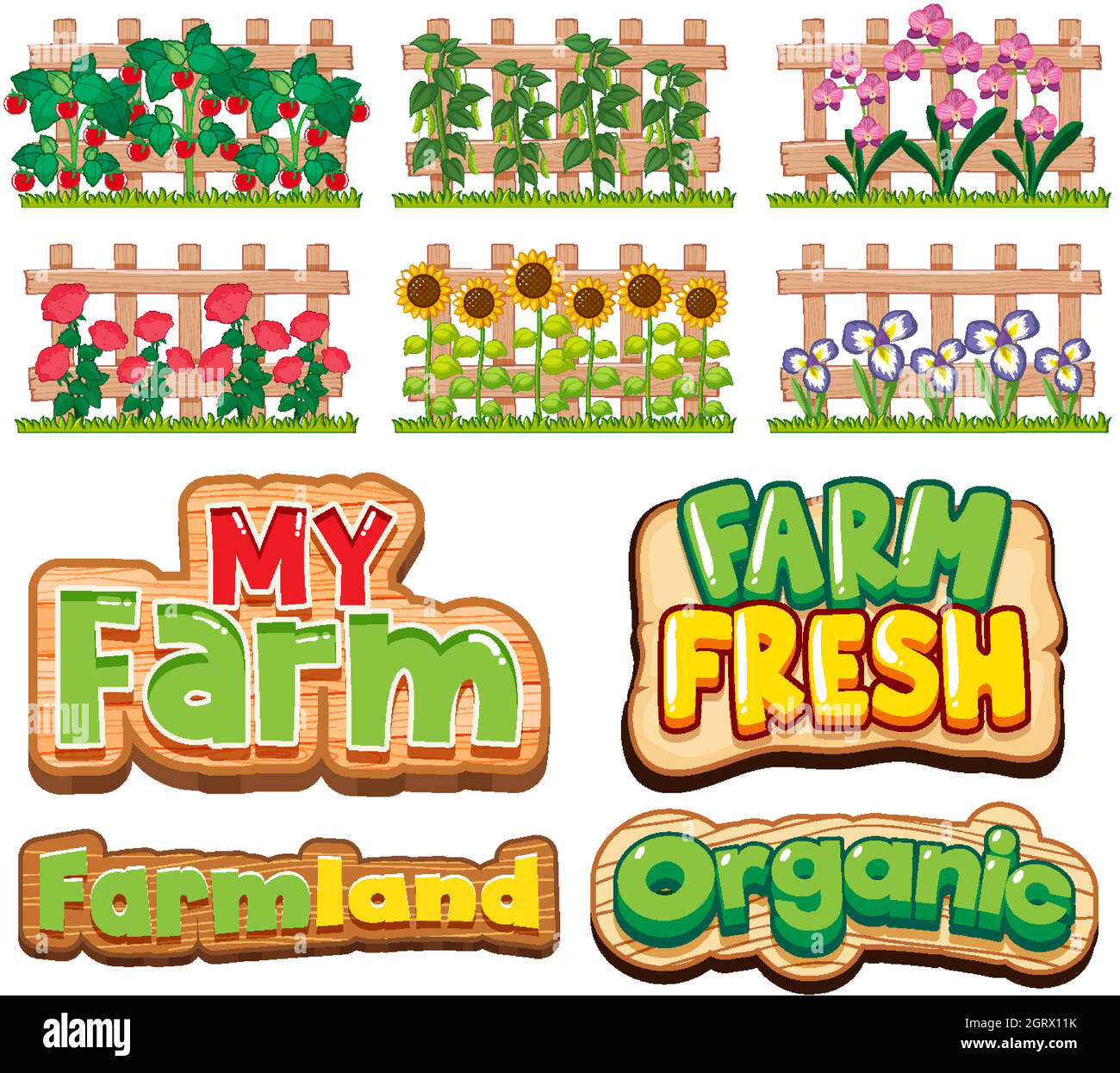 Flower iris in garden Stock Vector Images - Alamy