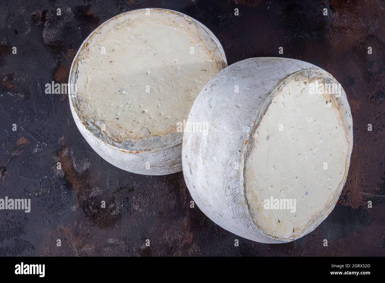 Old cheddar cheese. Wheel aged cheese. Aged cheddar cheese wheel on ...