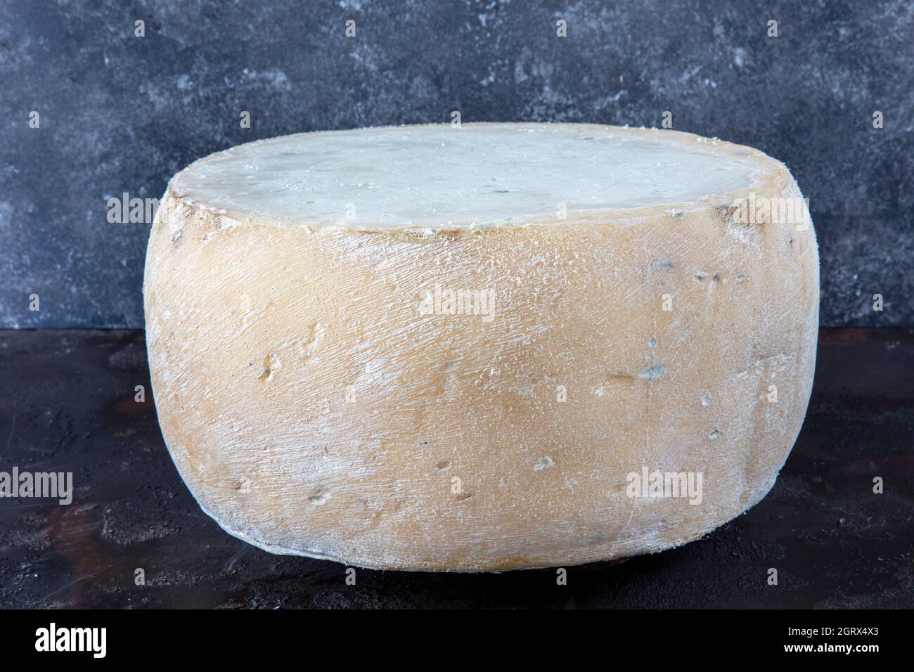 Old cheddar cheese. Wheel aged cheese. Aged cheddar cheese wheel on ...