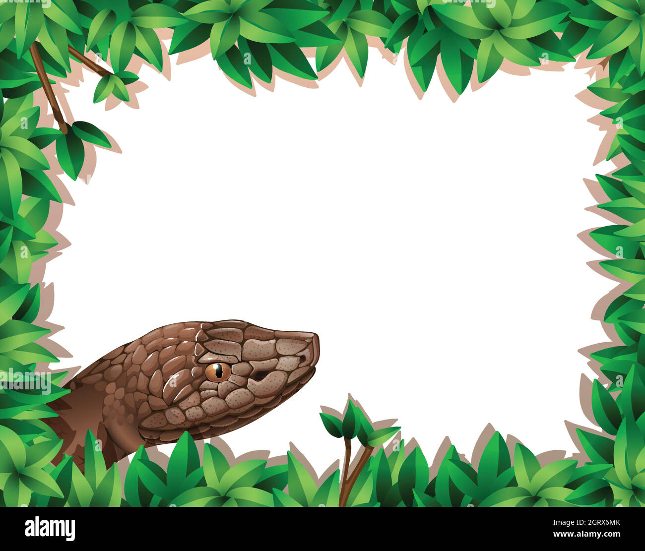 Snake on nature border Stock Vector Image & Art - Alamy