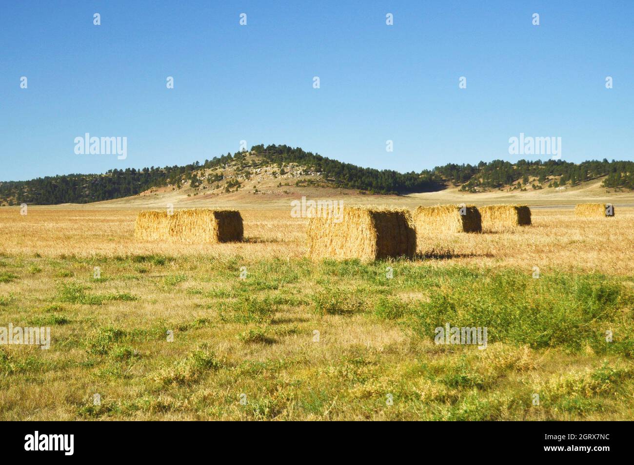 Large square bales of hay hi-res stock photography and images - Alamy