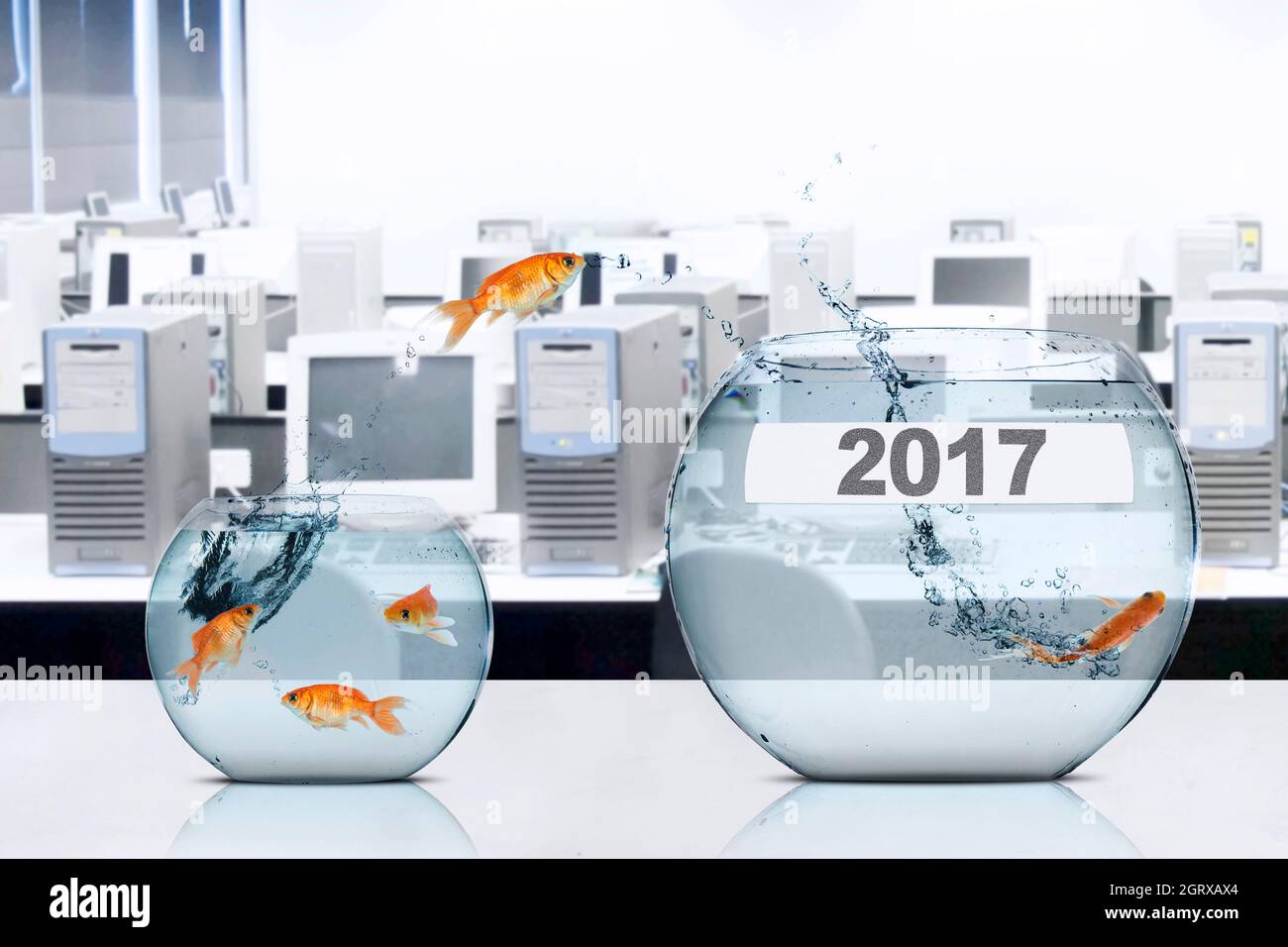 Four fish jumping hi-res stock photography and images - Alamy