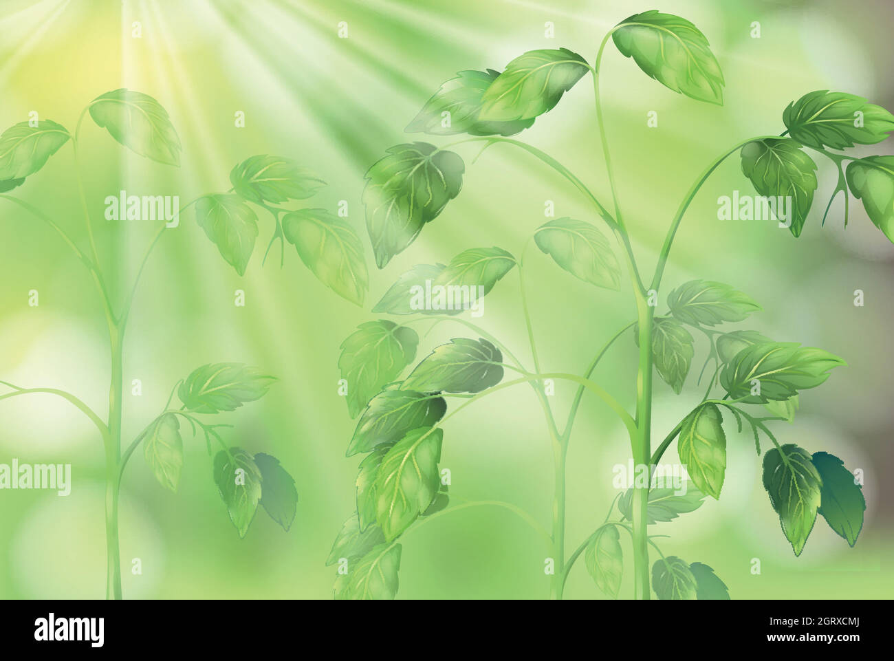 Plant leaf Stock Vector Images - Alamy
