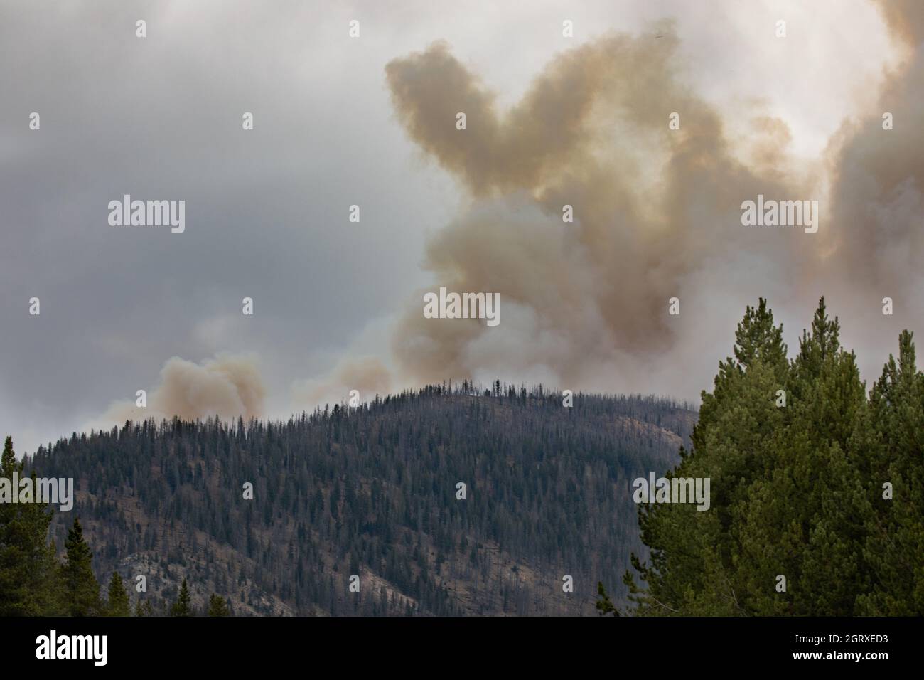 Top view of an invincible forest fire Stock Photo - Alamy