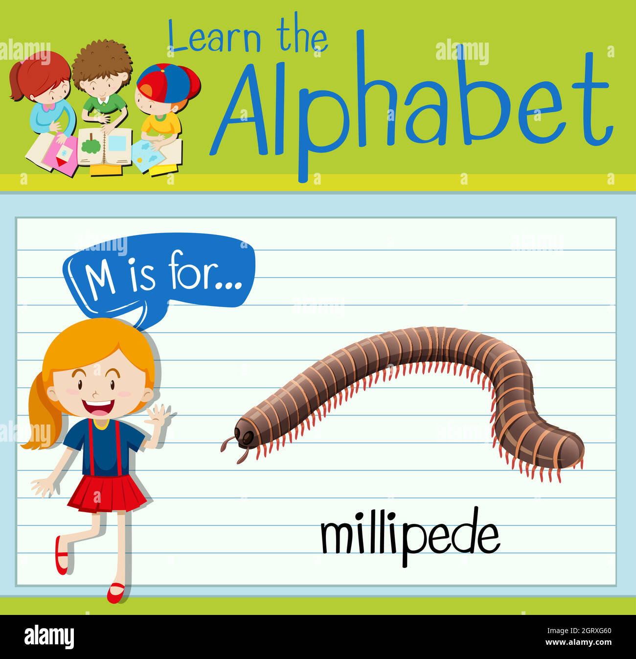 Flashcard letter M is for millipede Stock Vector Image & Art - Alamy