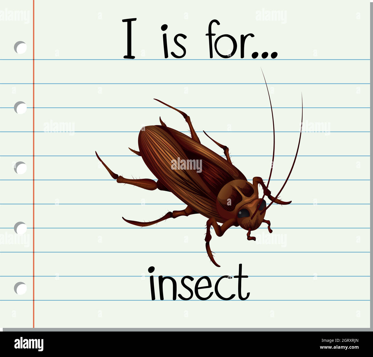 Flashcard letter insect illustration Stock Vector Images - Alamy