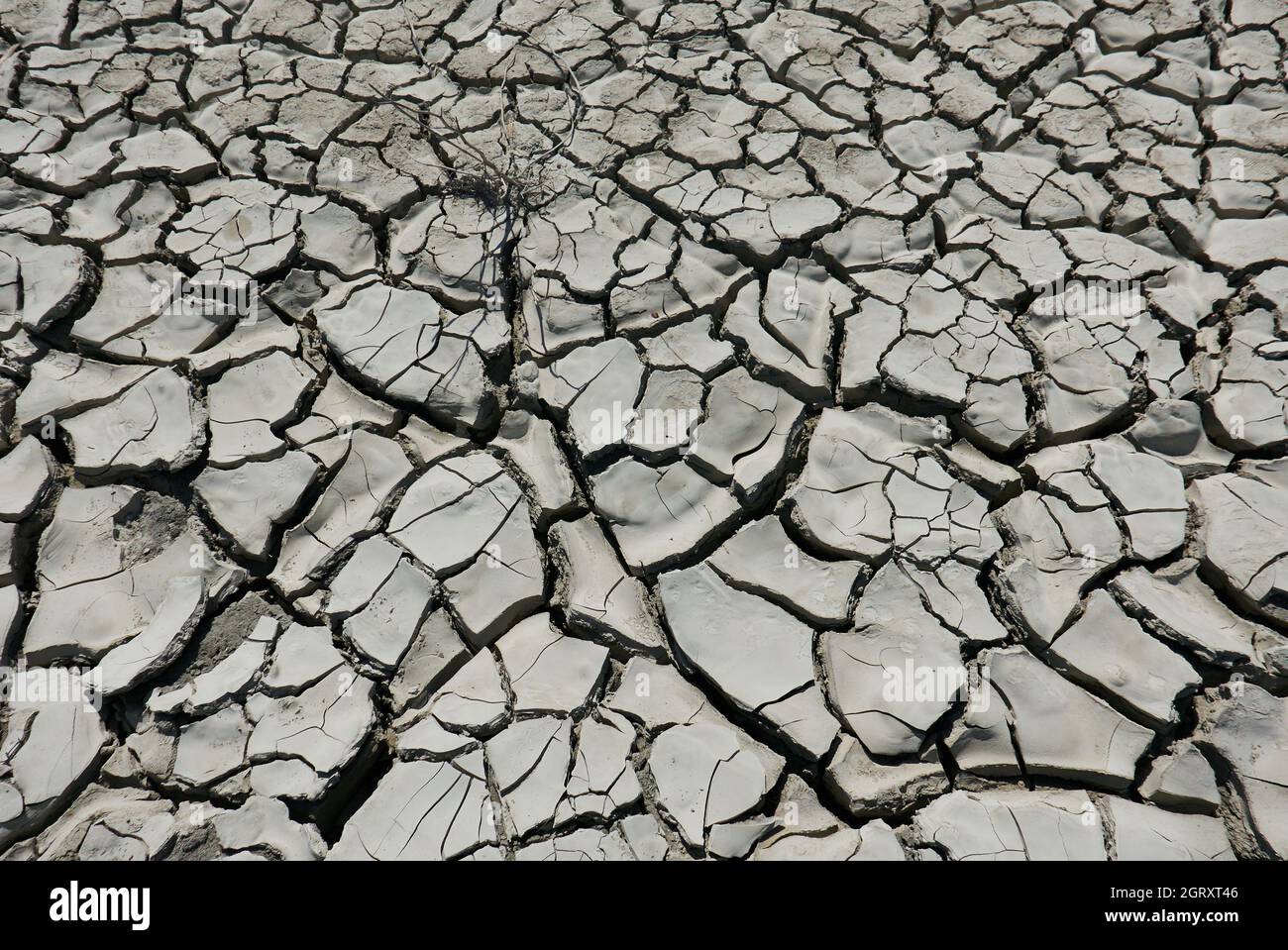 Desertification High Resolution Stock Photography and Images - Alamy