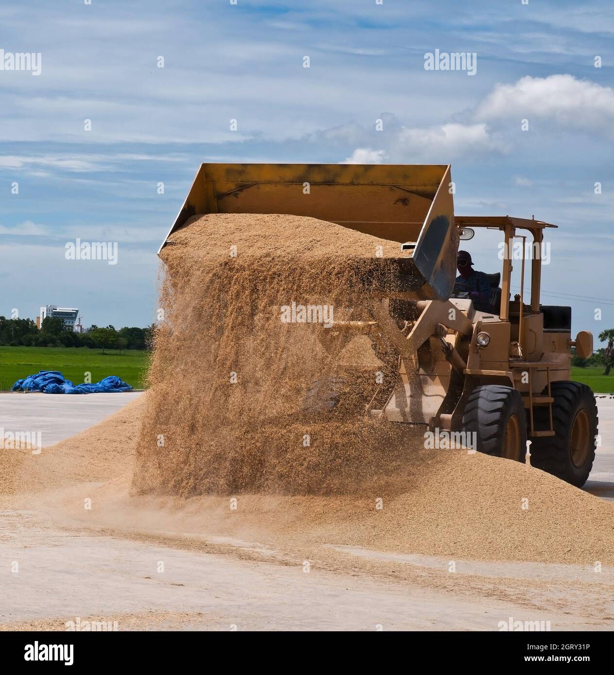 Skid Steer Loaders Moving Paddy Stock Photo - Alamy