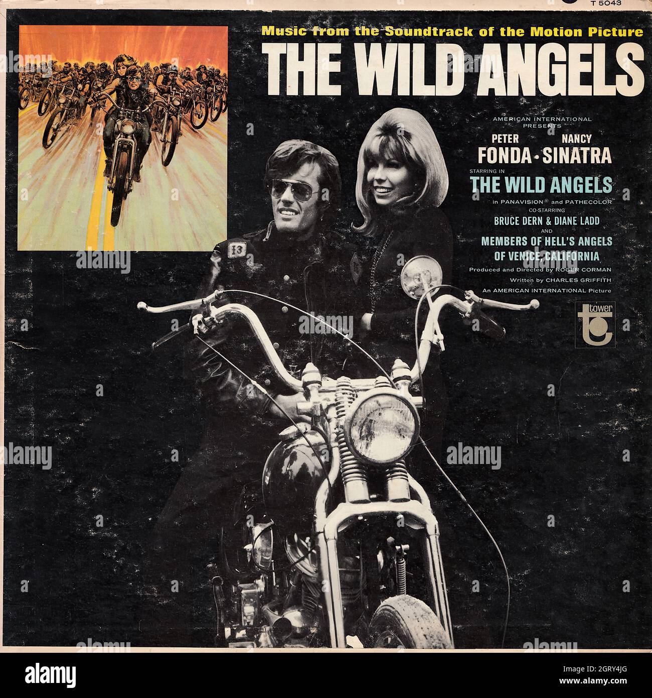 The Wild Angels Quotes
